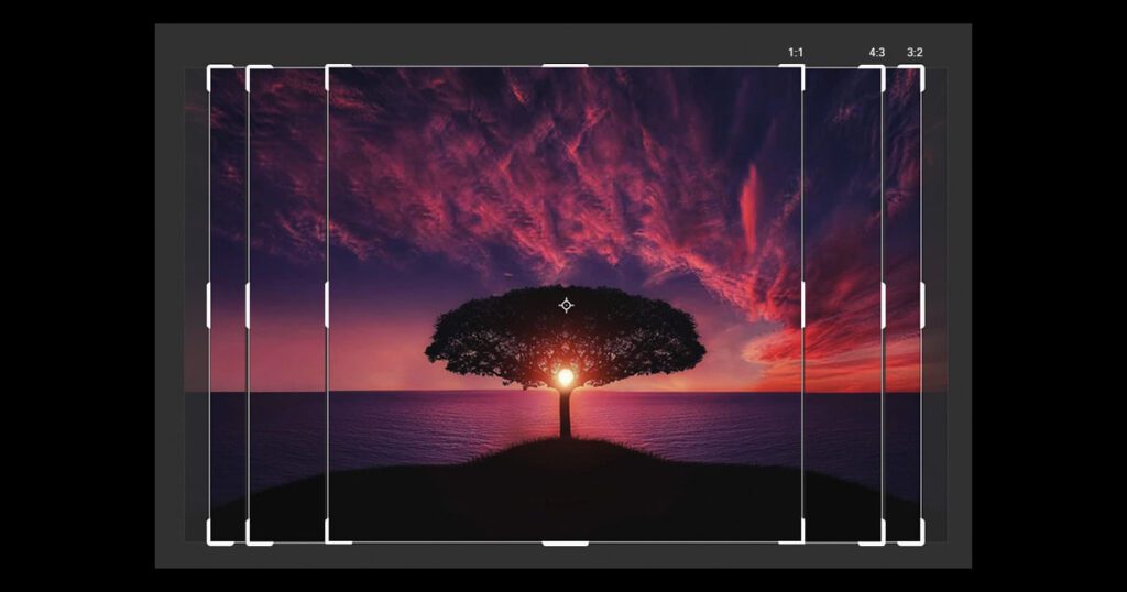 An Exhaustive Guide to Standard Photo Sizes - EGI