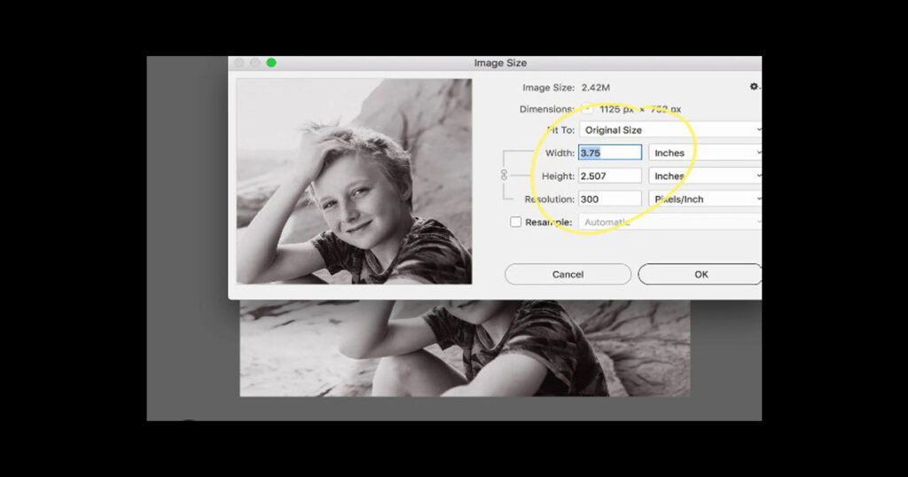 An Exhaustive Guide to Standard Photo Sizes - EGI